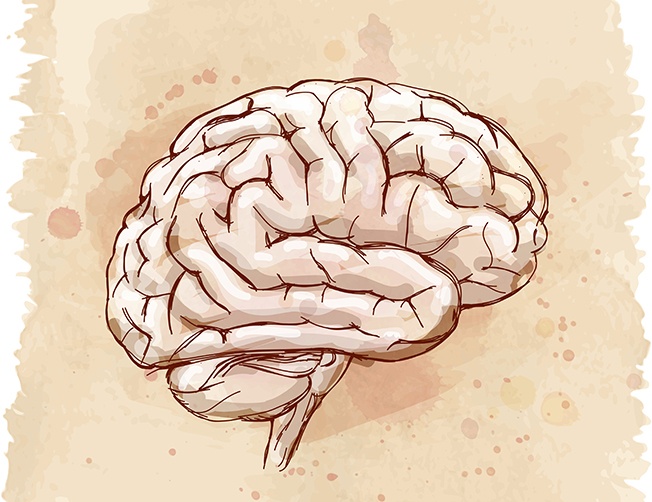 Neurologie - Como prevenir o AVC? Neurologie - Como prevenir o AVC?